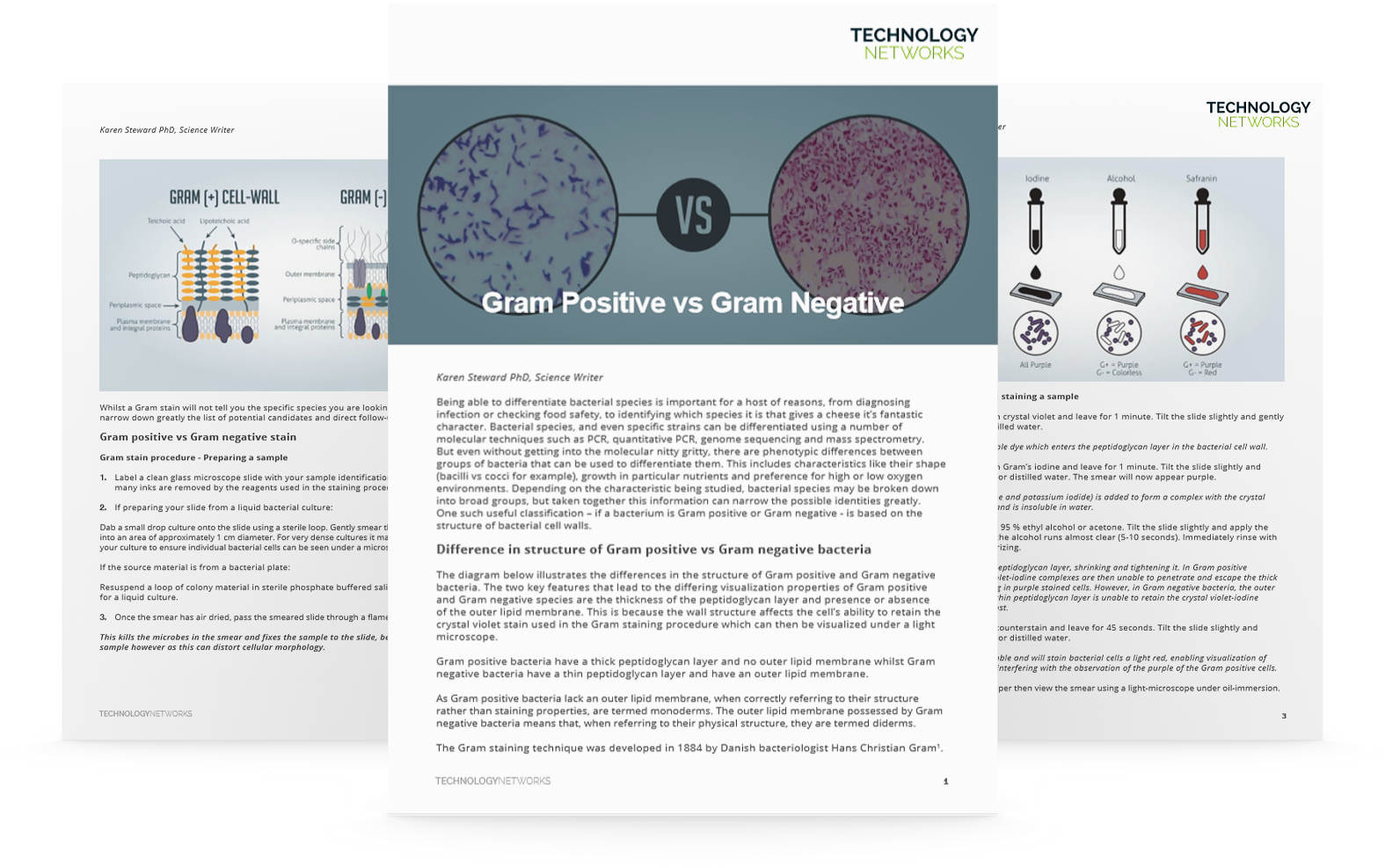 Gram Positive Vs Gram Negative gram-positive-vs-gram-negative